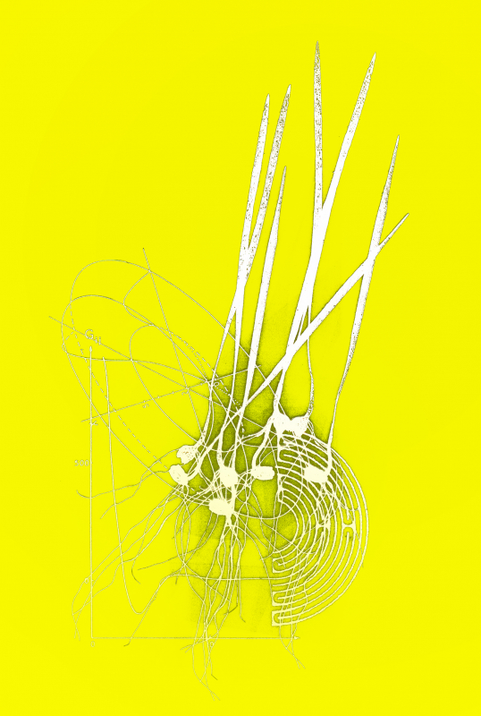 Die Kunstmuseen der Gemeinde Ascona / Ausstellungen / Teres Wydler